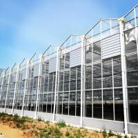 China Galvanized Steel Venlo Type Glass & Polycarbonate Greenhouse with 90% Light Transmission and Full Climate Control Systems for sale