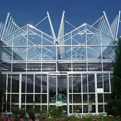 China Dutch Venlo Type Greenhouse with 9.6m-12m Span and Hydroponic System for Agricultural Cultivation for sale