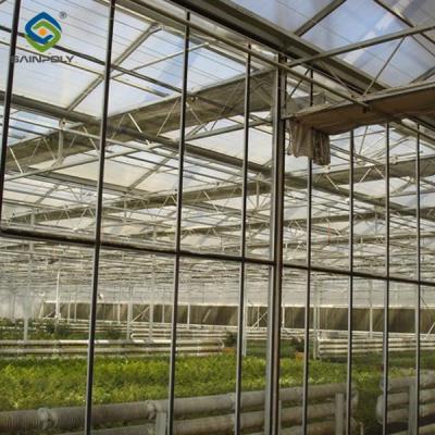 China Venlo Glass Greenhouse 9.6-12m Span with 0.6KN/㎡ Wind Load for Professional Agriculture for sale