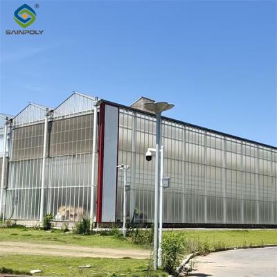 China Venlo Multi-Span Polycarbonate Greenhouse 30-60m Length with 0.6KN Wind Load and Hot-Dipped Galvanized Steel Frame for sale