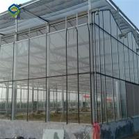 China Venlo Multi-Span Glass Greenhouse 16m Span 10m Height Hot Galvanized Steel Structure Customizable for sale