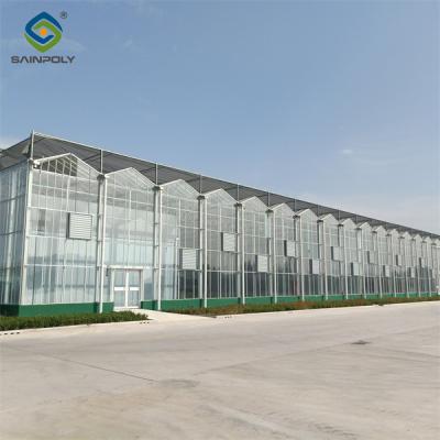 China Steel Frame Venlo Glass Greenhouse 9.6-12m Span for Tomato Cultivation with 0.6KN Wind Load for sale