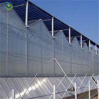 China Agricultural PC Board Greenhouse 30-60m Length with 0.6KN Wind Load for Vegetable Cultivation for sale