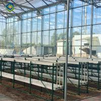 China Agricultural PC Board Greenhouse 30-60m Length with 0.6KN Wind Load for Vegetable Cultivation for sale
