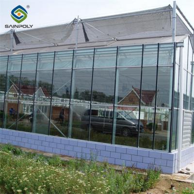 China Venlo Type Glass Greenhouse 9.6-12m Span with 0.6KN Wind Load - Hot Dip Galvanized Steel Structure for sale