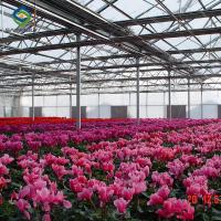 China Venlo Type Glass Greenhouse 9.6-12m Span with 0.6KN Wind Load - Hot Dip Galvanized Steel Structure for sale