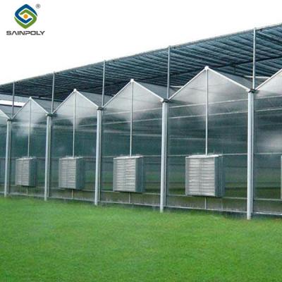 China PC Sheet Venlo Greenhouse 9.6-12m Span with 0.6KN Wind Load for Commercial Agriculture for sale