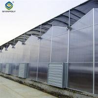 China PC Sheet Venlo Greenhouse 9.6-12m Span with 0.6KN Wind Load for Commercial Agriculture for sale