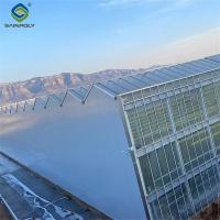 China PC Sheet Venlo Greenhouse 9.6-12m Span with 0.6KN Wind Load for Commercial Agriculture for sale
