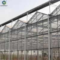 China Modern Venlo Glass Greenhouse 9.6m-12m Span with Steel Frame & Intelligent Control System for sale