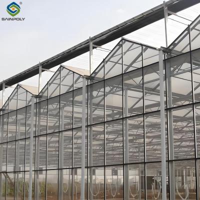 China Modern Venlo Glass Greenhouse 9.6m-12m Span with Steel Frame & Intelligent Control System for sale
