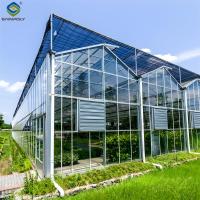 China Galvanized Venlo Type Commercial Greenhouse 9.6m-12m Span with 4mm-5mm Glass and Environmental Control Systems for sale