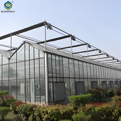 China Hydroponic Venlo PC Polycarbonate Solar Glass Greenhouse 9.6m-12m Span Customizable Structure for sale