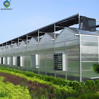 China Venlo Style Glass Greenhouse 9.6m-12m Span with Intelligent Control System for Tomato and Strawberry Farming for sale