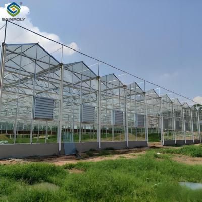 China Adjustable Shading Net Venlo Greenhouse 9.6m-12m Span with 4mm-5mm Tempered Glass and Intelligent Control System for sale