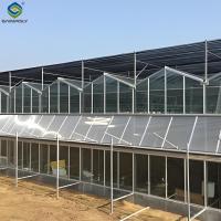 China 9.6m Width Agricultural Venlo Commercial Glass Greenhouse with Hydroponic System and 95% Light Transmission for sale