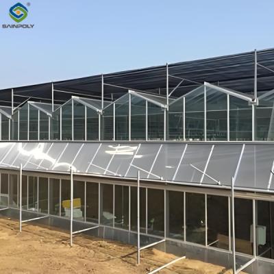 China 9.6m Width Agricultural Venlo Commercial Glass Greenhouse with Hydroponic System and 95% Light Transmission for sale