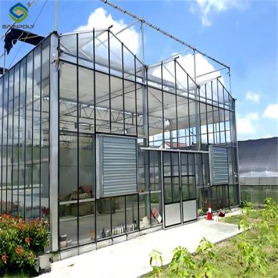 China UV-Proof Venlo Style Greenhouse with Hydroponics Systems - Polycarbonate & Glass Options for Agricultural Use for sale