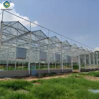 China Modern Venlo Glass Greenhouse 9.6-12m Span with 95% Light Transmission for Tomato Cucumber Cultivation for sale