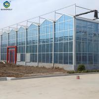 China Modern Venlo Glass Greenhouse 9.6-12m Span with 95% Light Transmission for Tomato Cucumber Cultivation for sale