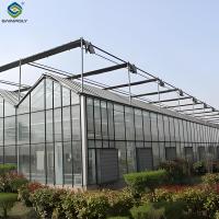 China Modern Venlo Glass Greenhouse 9.6-12m Span with 95% Light Transmission for Tomato Cucumber Cultivation for sale