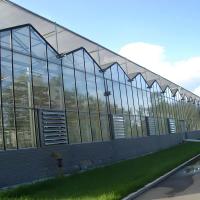 China Energy - Efficient Venlo Glass Greenhouse for Pepper Hydroponics for sale