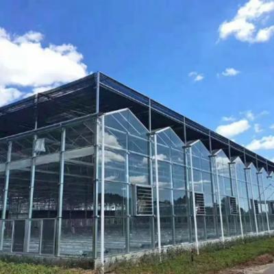China Smart Venlo-Type Glass Greenhouse with 150 kg/m² Snow Load and 90-95% Light Transmission for High-Yield Crop Production for sale