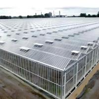 China Energy - Efficient Venlo Glass Greenhouse for Pepper Hydroponics for sale