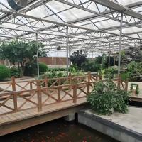 China Venlo Glass Greenhouse 15x10x6m for Flower Cultivation with Substrate Culture and Climate Control for sale