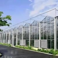 China Venlo Glass Greenhouse 9.6m Width for Bell Lily Cultivation with Hot Galvanized Steel Frame for sale