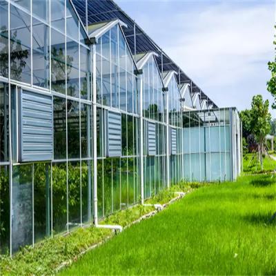 China Venlo Glass Greenhouse 15x10x6m for Flower Cultivation with Substrate Culture and Climate Control for sale