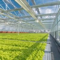 China Smart Venlo-Type Glass Greenhouse with 150 kg/m² Snow Load and 90-95% Light Transmission for High-Yield Crop Production for sale