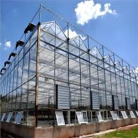 China Multi-Span Venlo Style Greenhouse with Hydroponic System - 8 Automated Control Systems for Smart Agriculture for sale