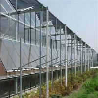 China Intelligent Modern Venlo Greenhouse Structure 9.6m-12m Span with Climate Control Systems for sale
