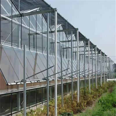 China Intelligent Modern Venlo Greenhouse Structure 9.6m-12m Span with Climate Control Systems for sale