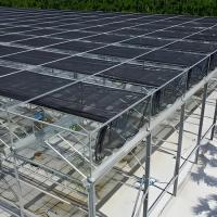 China Custom - designed Venlo Multi - Span Glass Greenhouse for Strawberry Cultivation for sale