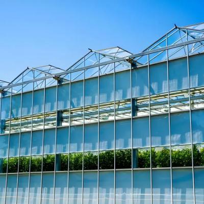 China Intelligent Venlo-Type Glass Greenhouse 9.6m Width with Automated Climate Control and 95% Light Transmittance for sale