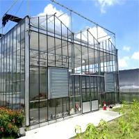China Modern Venlo Glass Greenhouse 9-12m Width 4.5-8m Height for Gerbera Daisy Cultivation for sale