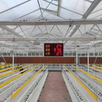 China Large-Scale Venlo Glass Greenhouse 4.5-8m Height with Hydroponic System for Melon Farming for sale