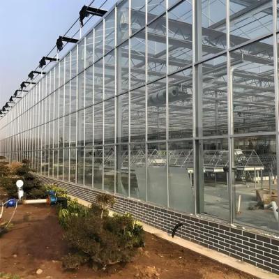 China Commercial Automated Venlo Style Greenhouse with Climate Control Systems - Custom Steel Frame Structure for 60+ Countries for sale