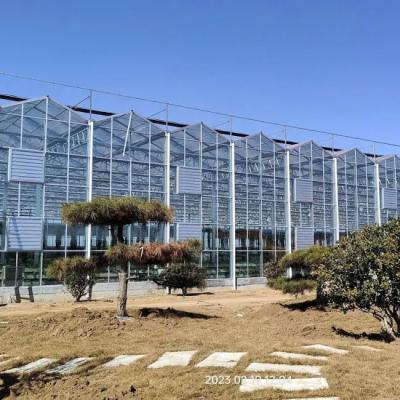China High-Tech Venlo Glass Greenhouse for Strawberry Hydroponics - 4-8m Height, 6-12m Span with 0.25KN/m² Snow Load for sale