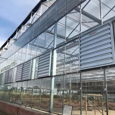 China Customizable Venlo Multi - Span Glass Greenhouse for Orchid Cultivation for sale