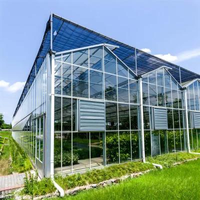 China Commercial Venlo Glass Greenhouse for Strawberry Growing with Hydroponic System 6.0-12.0m Span for sale