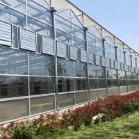 China Intelligent Venlo Glass Greenhouse 6-12m Span with 0.4KN/m² Snow Load & 95% Light Transmittance for Commercial Crop Growth for sale