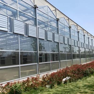 China Professional Commercial Venlo Greenhouse Structure 9.6m-12m Span with Smart Climate Control & Automation Systems for sale