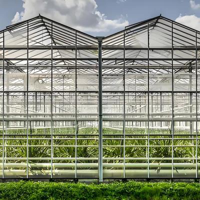 China High - performance Venlo Glass Greenhouse for Bell Pepper  Growing for sale