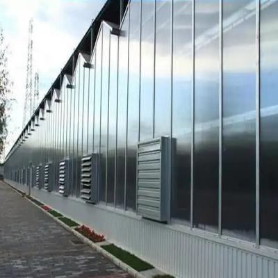 China Polycarbonate Venlo Greenhouse for Tomato Substrate Culture - 4-8m Height, 9-12m Width with Climate Control for sale