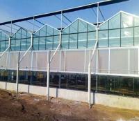 China Sainpoly Venlo Glass Greenhouse 9.6m Width Hot Galvanized Steel Frame for Vegetables for sale