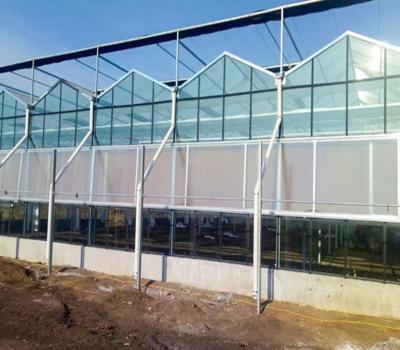 China Sainpoly Venlo Glass Greenhouse 9.6m Width Hot Galvanized Steel Frame for Vegetables for sale