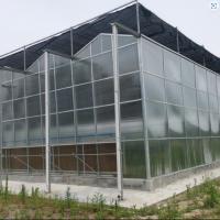 China Intelligent Venlo-Type Aluminum Profile Polycarbonate Greenhouse with 4-8m Roof Height and 0.25KN/m² Snow Load for sale